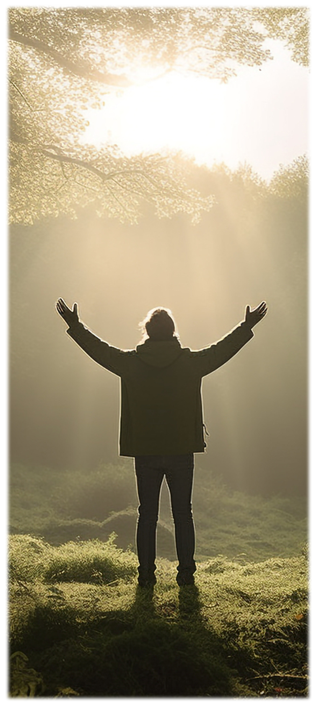 EFT Level 2 Practitioner AAMET* Approved – Ultimate Performance Solutions